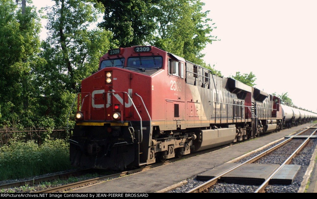 CN 2309 M636